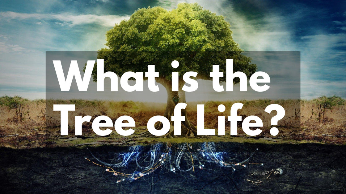The Tree of Life - A Comprehensive Guide to This Legendary Symbol ...